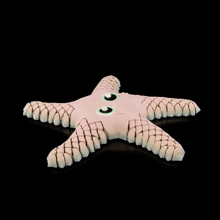 3D Printable Sandy, the Sea Star by Stlflix