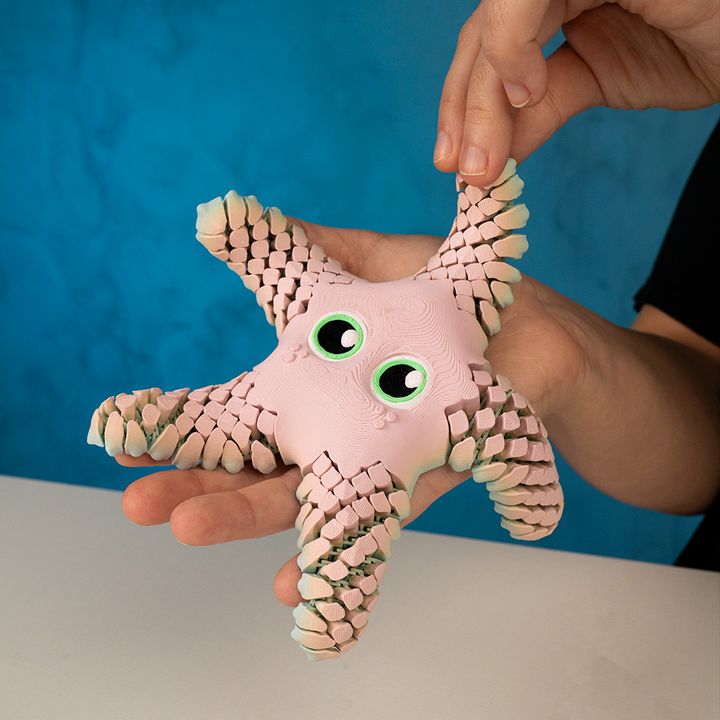 3D Printable Sandy, the Sea Star by Stlflix