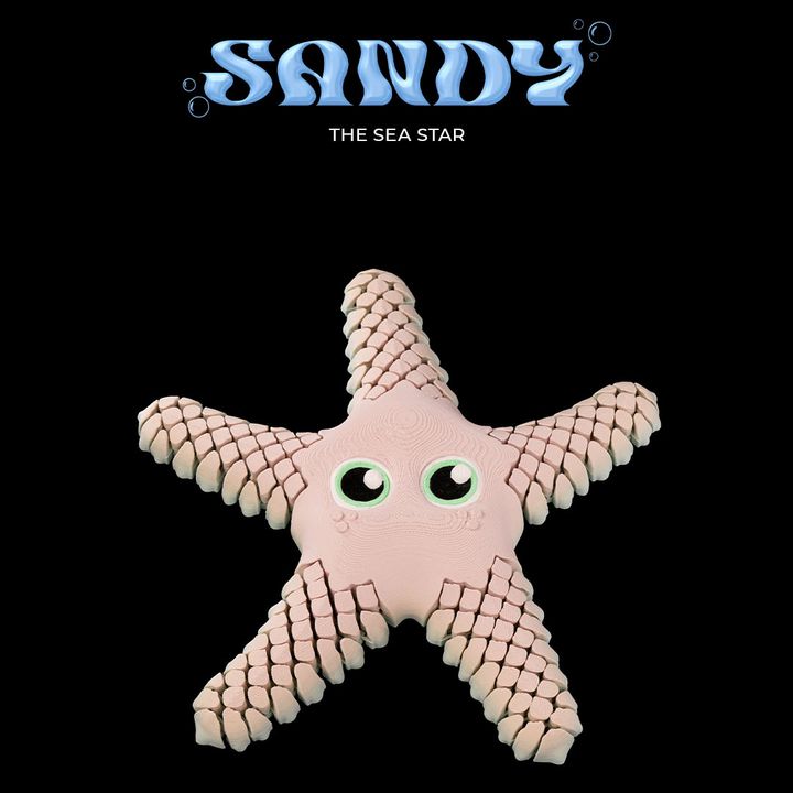 3D Printable Sandy, the Sea Star by Stlflix
