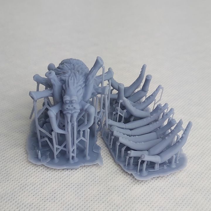 3D Printable Giant Cave Spider by Sculpting George