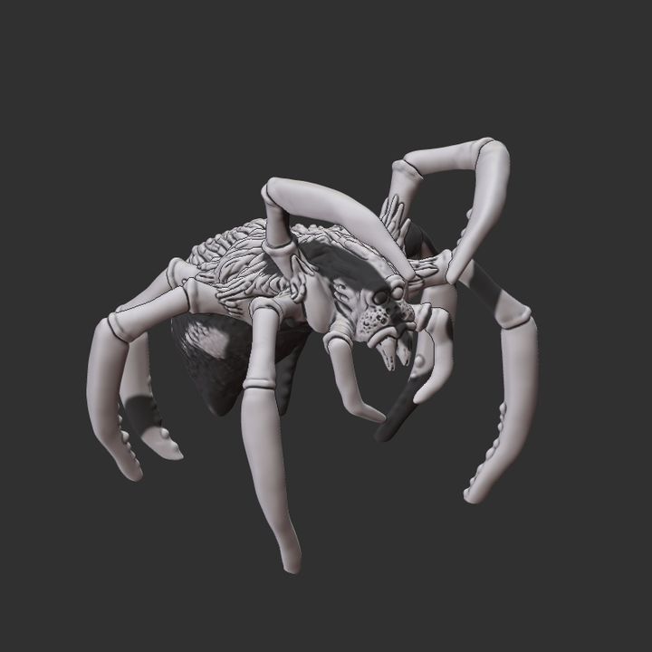3D Printable Giant Cave Spider by Sculpting George