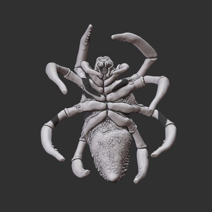 3D Printable Giant Cave Spider by Sculpting George