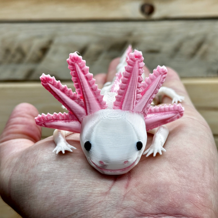 3D Printable Articulated Axolotl by ENIQUE3D