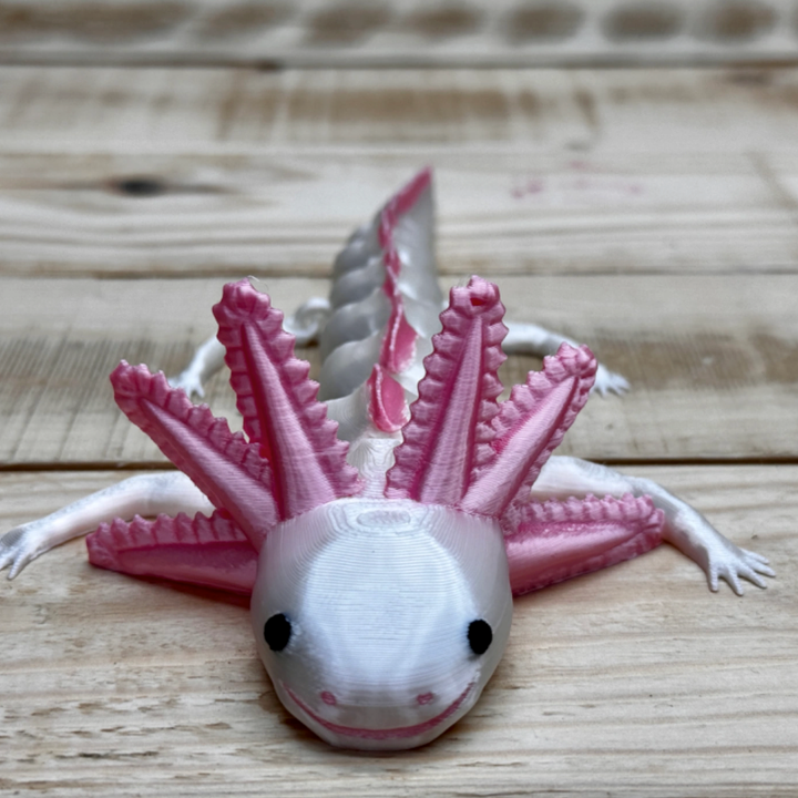 3D Printable Articulated Axolotl by ENIQUE3D