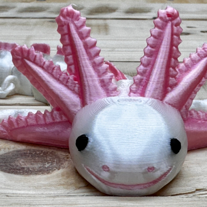 3D Printable Articulated Axolotl by ENIQUE3D