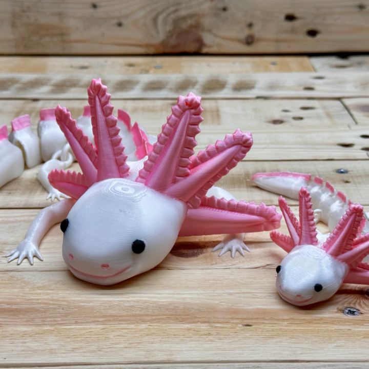 3D Printable Articulated Axolotl by ENIQUE3D