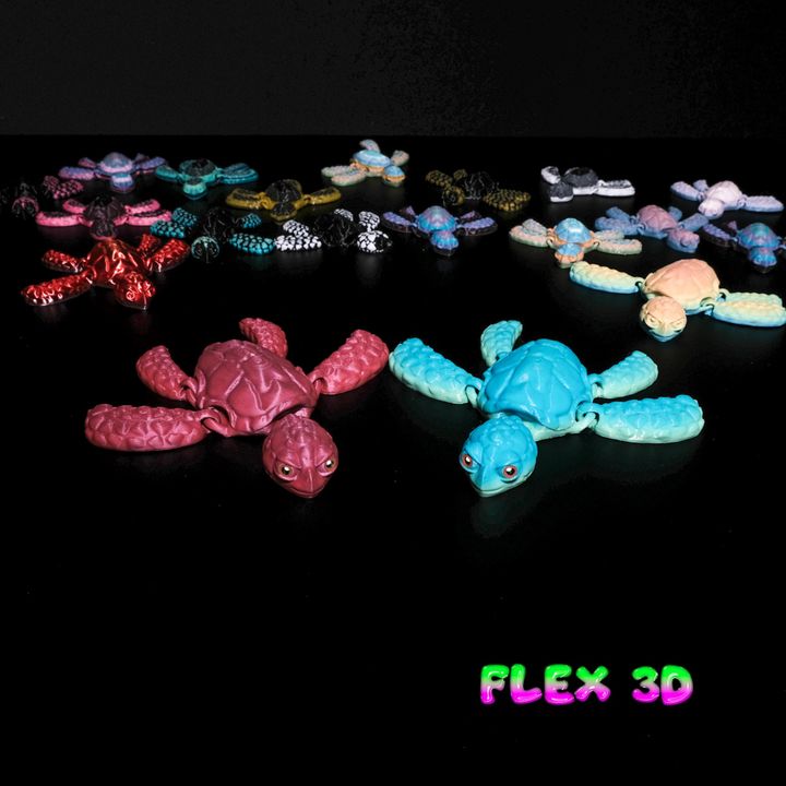 3D Printable Flex 3D Sea Turtle by Flex 3D