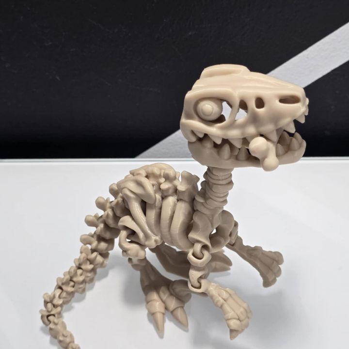 3D Print of Flexi Factory Skeleton Raptor by leaderek88