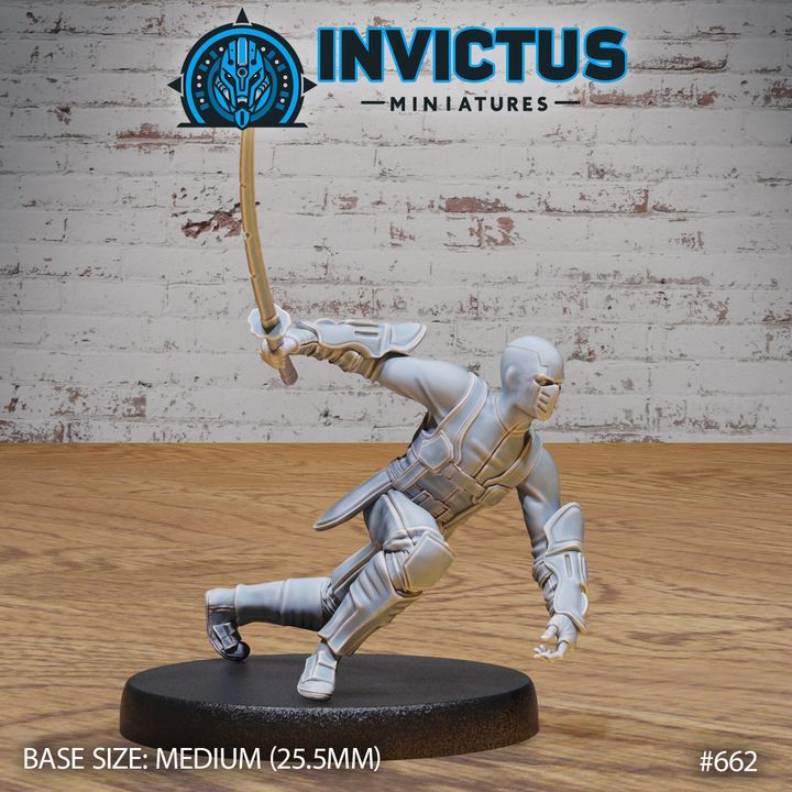 3D Printable Ninja Clan Assasin / Galactic Covert Agent / Martial Art ...