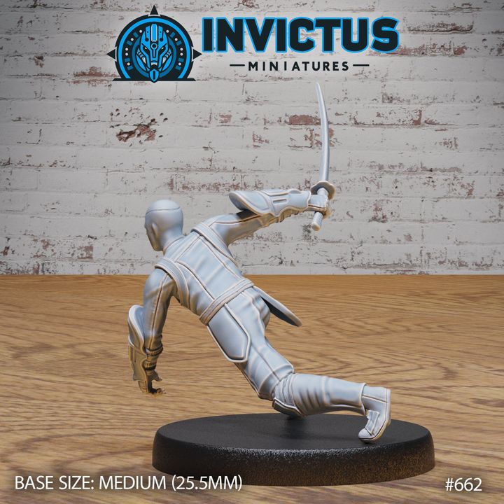 3D Printable Ninja Clan Assasin / Galactic Covert Agent / Martial Art ...