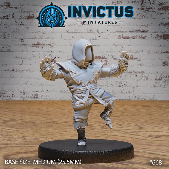 3D Printable Ninja Clan Newbie / Galactic Covert Agent / Martial Art ...