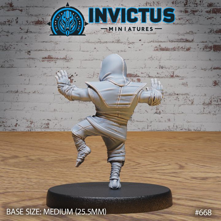 3D Printable Ninja Clan Newbie / Galactic Covert Agent / Martial Art ...