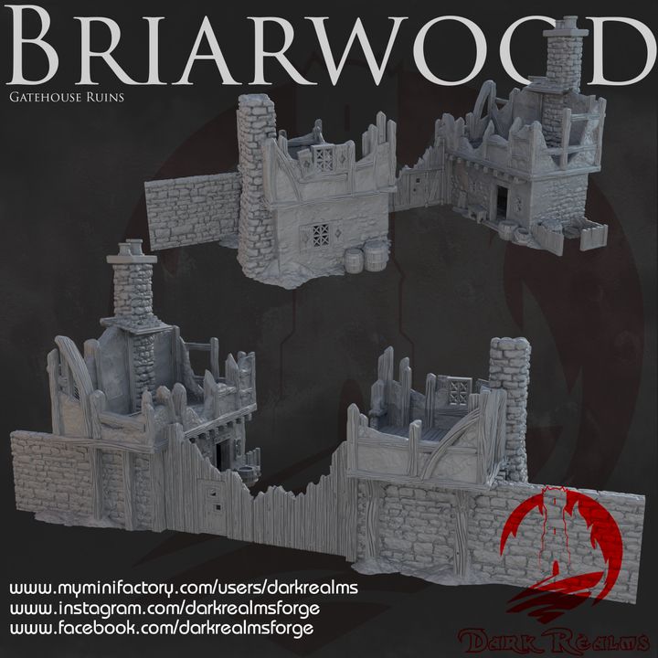 3D Printable Dark Realms - Briarwood - Gate House Ruins by Dark Realms ...