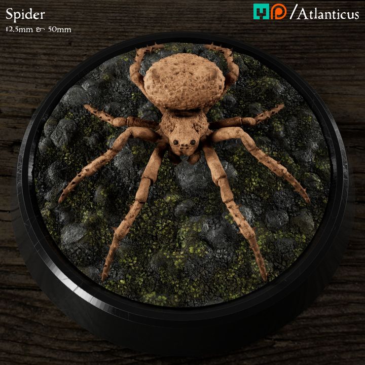 3D Printable Spider (12.5mm) and Giant Spider (50mm) by Atlanticus Arts