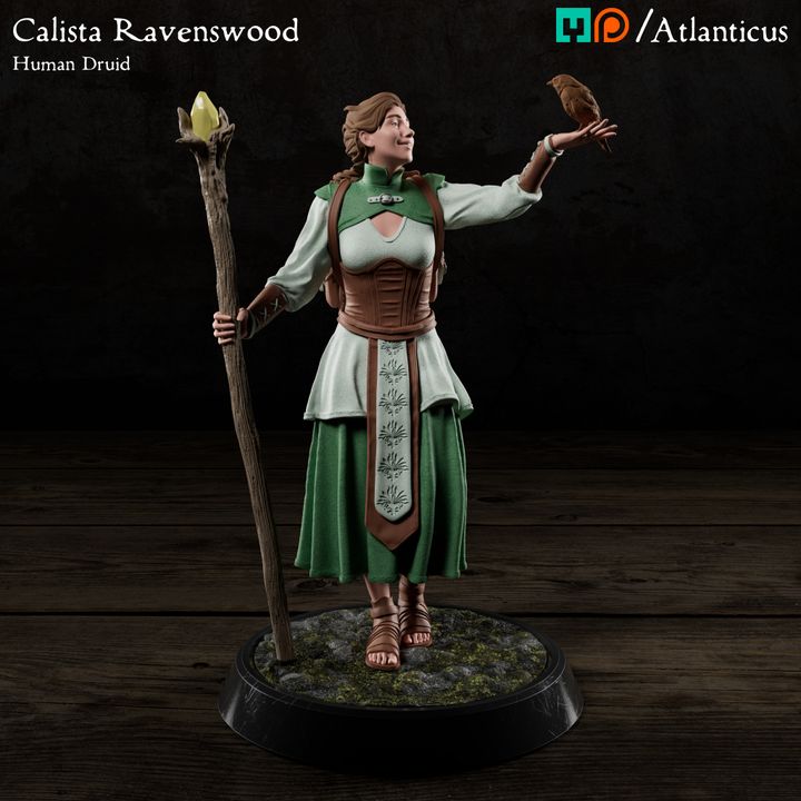 3D Printable Female Human Druid - Calista Ravenswood - BUNDLE by ...