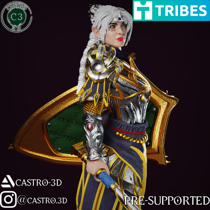 3D Printable Cleric of Shar - tabletop miniature by Castro3D