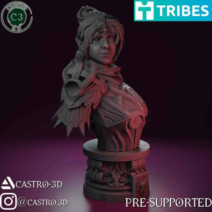 3D Printable Cleric of Shar - tabletop bust by Castro3D