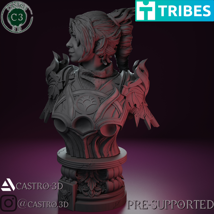 3D Printable Cleric of Shar - tabletop bust by Castro3D