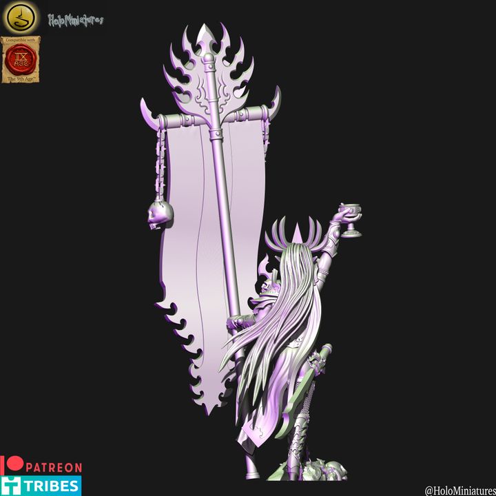 3D Printable Dark elves Death hag BSB (elf) by HoloMiniatures