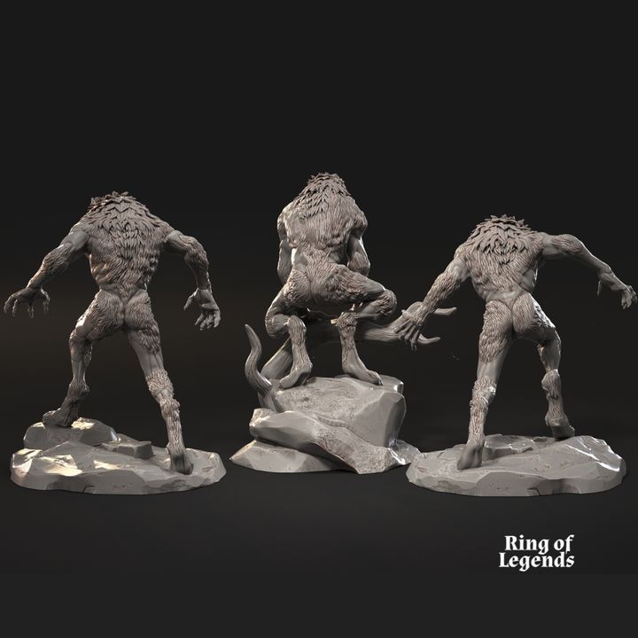 3D Printable 3x Lycanthropes of Anagar | Dead City | Ring of Legends by ...