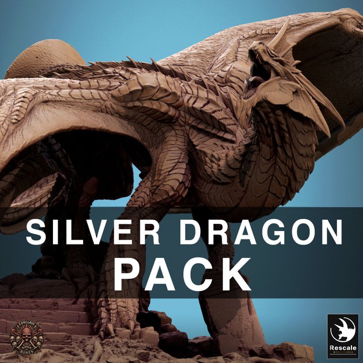 3D Printable Pack Metallic Silver Dragon - 2024 Redesign by Rescale ...