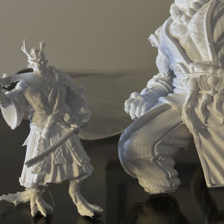 3D Print of Dragonborn Samurai - Ryuma by Icejackel