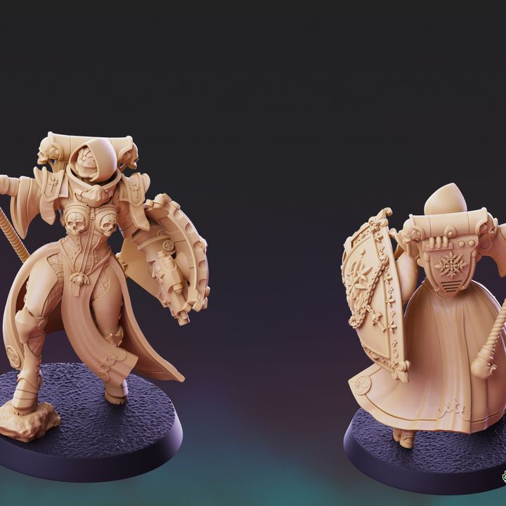 3D Printable Divine Order - Shieldmaiden Pose 4 by PSMiniatures