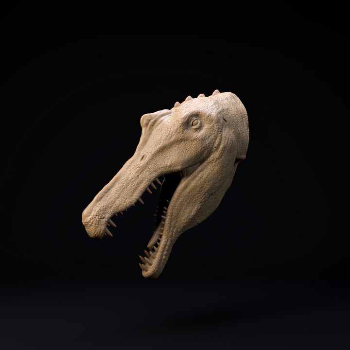 3D Printable Irritator mount-head by Dino and Dog