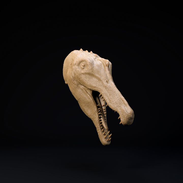 3D Printable Irritator mount-head by Dino and Dog