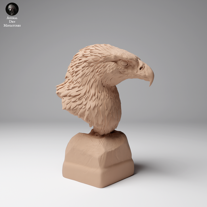 3D Printable Golden Eagle Bust by Animal Den Miniatures