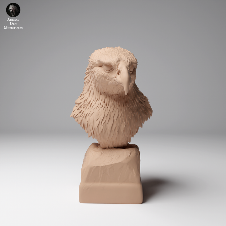3D Printable Golden Eagle Bust by Animal Den Miniatures
