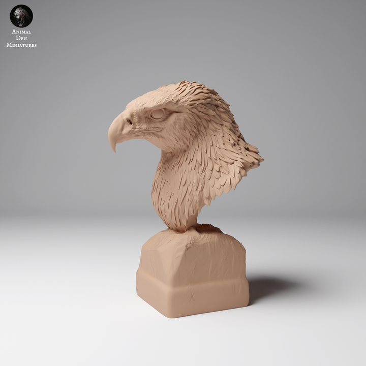 3D Printable Golden Eagle Bust by Animal Den Miniatures