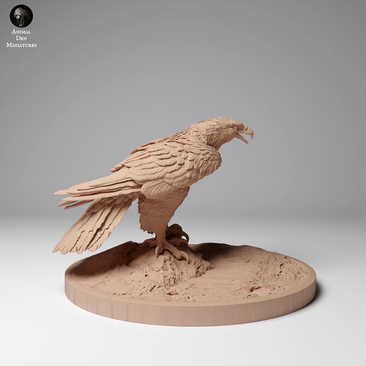 3D Printable Golden Eagle by Animal Den Miniatures
