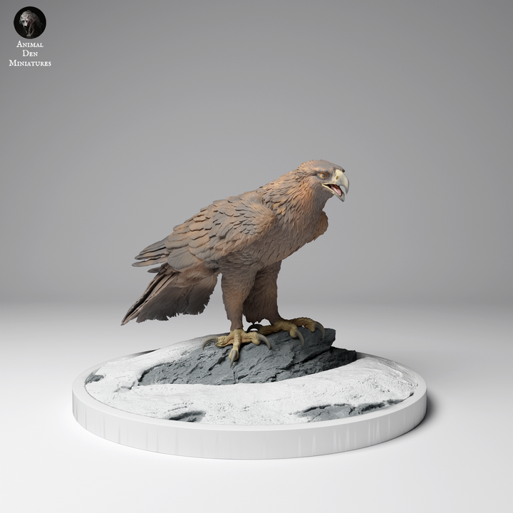 3D Printable Golden Eagle by Animal Den Miniatures