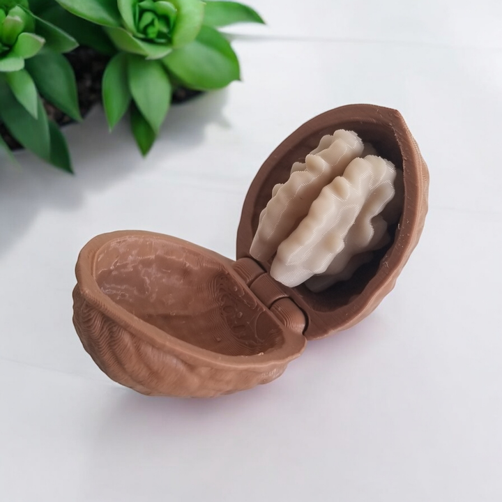 3D Printable Walnut (with Hinge and Seed) by Boby Green Creations