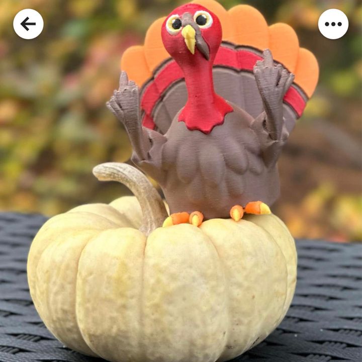 3D Printable rude tom the turkey by Aaron Shoaf
