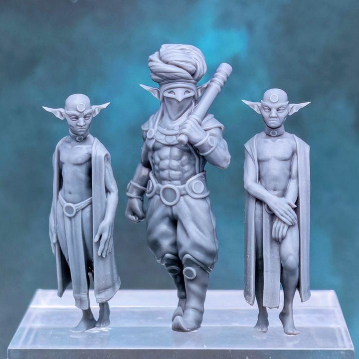 3D Printable Elf Slave Driver - Shadid, Usurer Overseer and Debtors ...