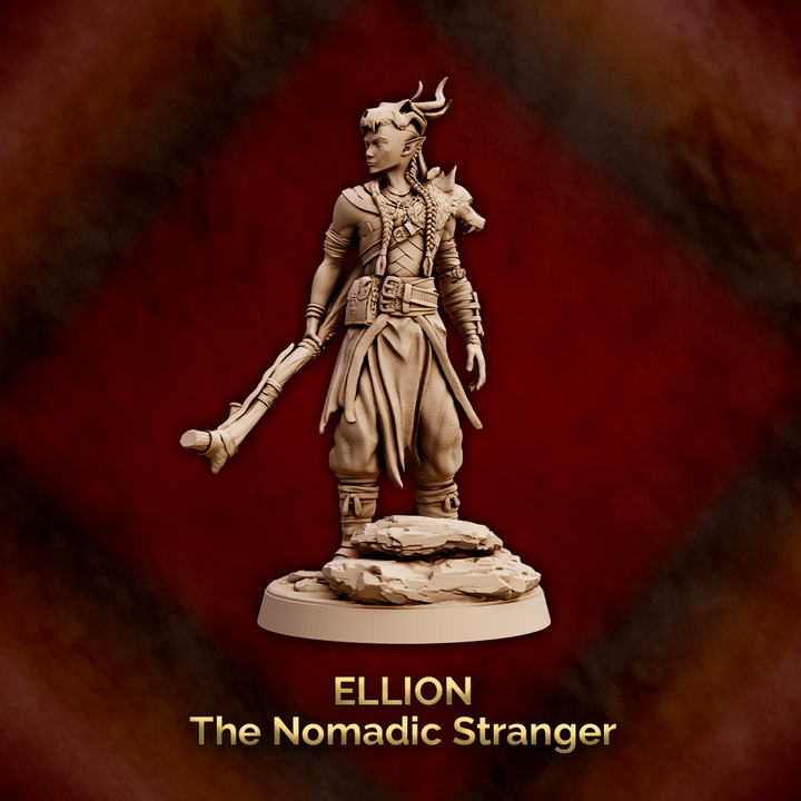 3D Printable Ellion - The Nomadic Stranger - Druid by Artificers_Mini
