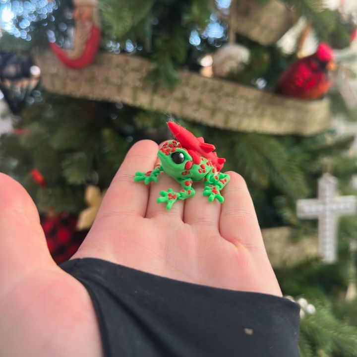 3D Print of Missletoad by michaelahorton