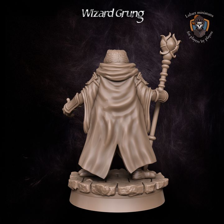 3D Printable Wizard Grung by Lubart Miniatures