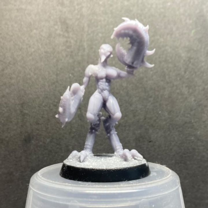 3D Printable Oldhammer daemonettes by Tommy