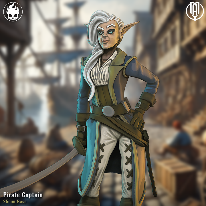 3D Printable Pirate Captain by NPC Forge