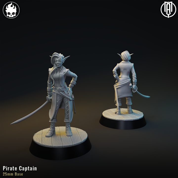 3D Printable Pirate Captain by NPC Forge