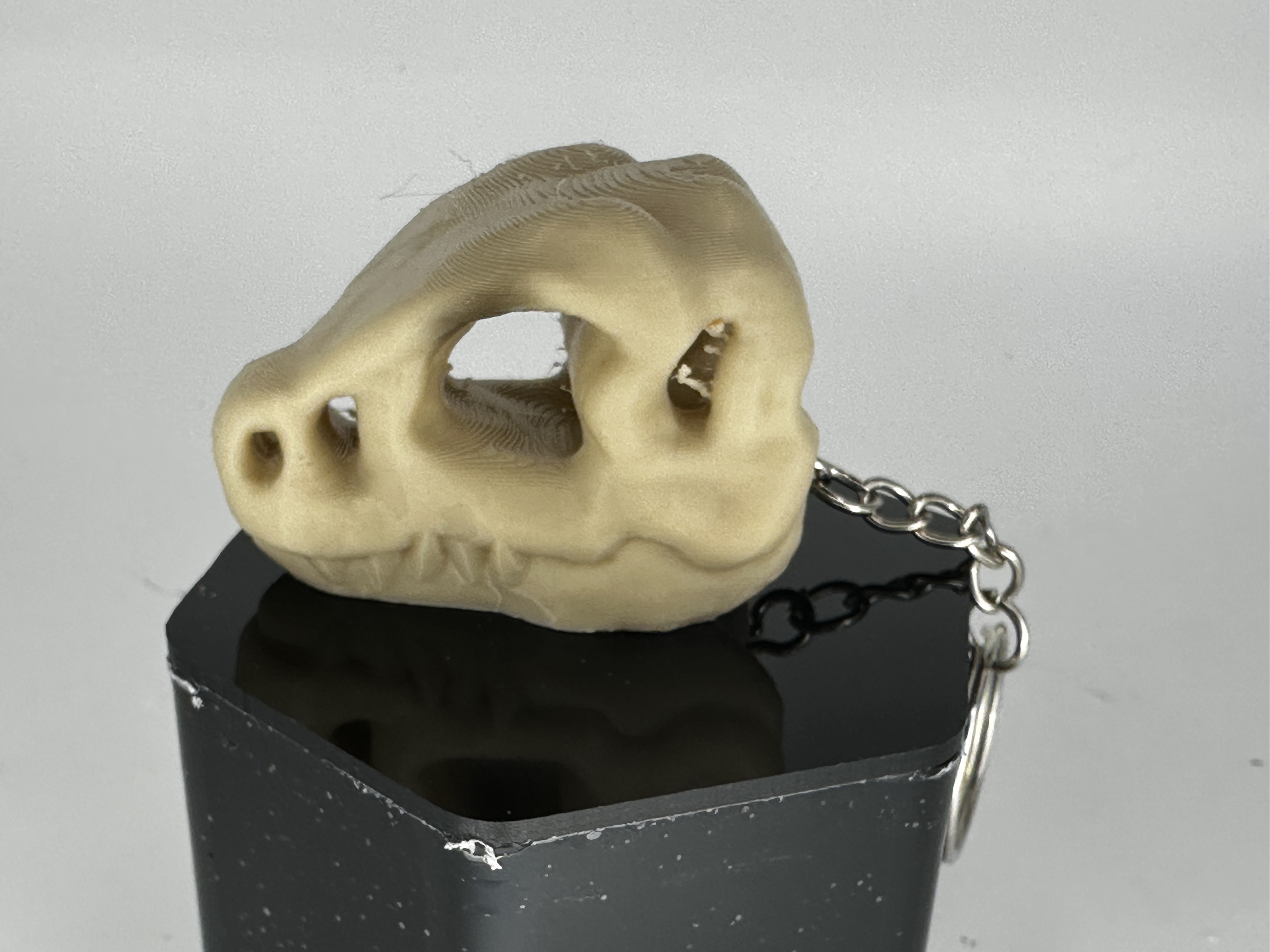3D Printable Tiny Skeleton T-Rex by Cinderwing3D