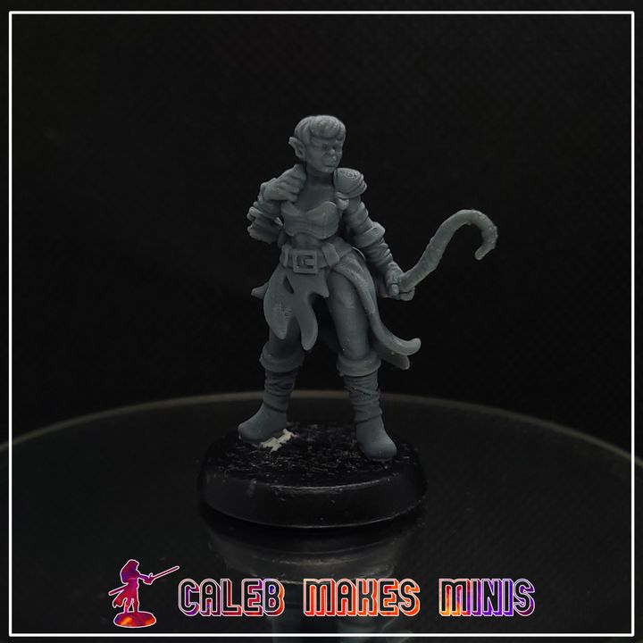 3D Printable Followers & Familiars II [PRE-SUPPORTED] | Complete ...