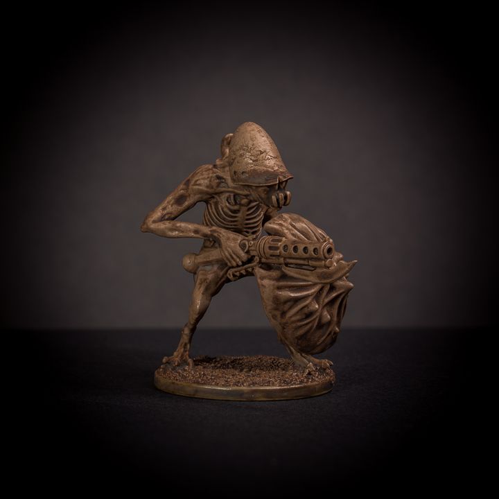 3D Printable Grall Shield Trooper 1 by Knucklebones Miniatures