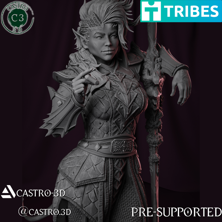 3D Printable Tiefling of Zariel - 32mm and 75mm miniature by Castro3D
