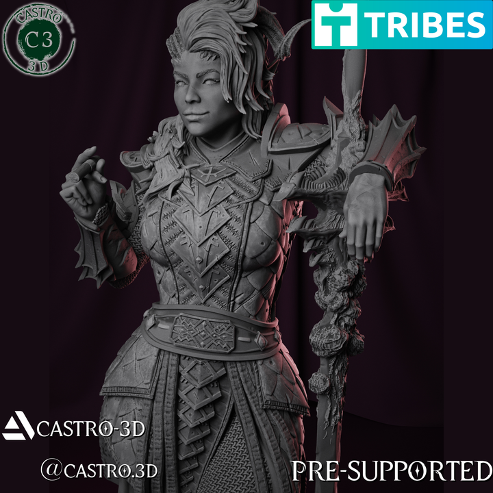 3D Printable Tiefling of Zariel - 32mm and 75mm miniature by Castro3D