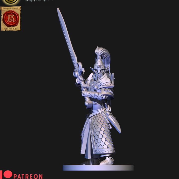 3D Printable High elves Swordmasters (elf) by HoloMiniatures