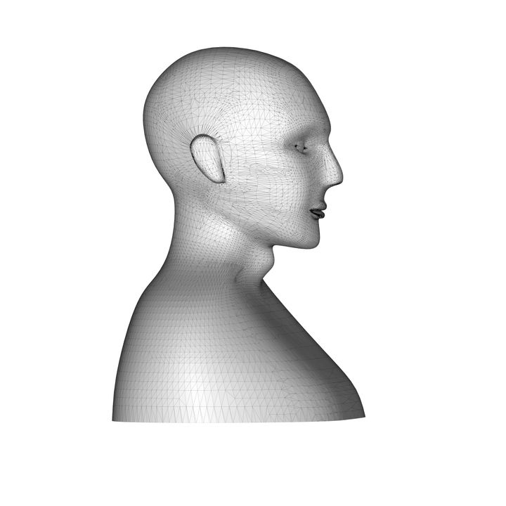 3D Printable Human 3d model by 3dSolidWorks